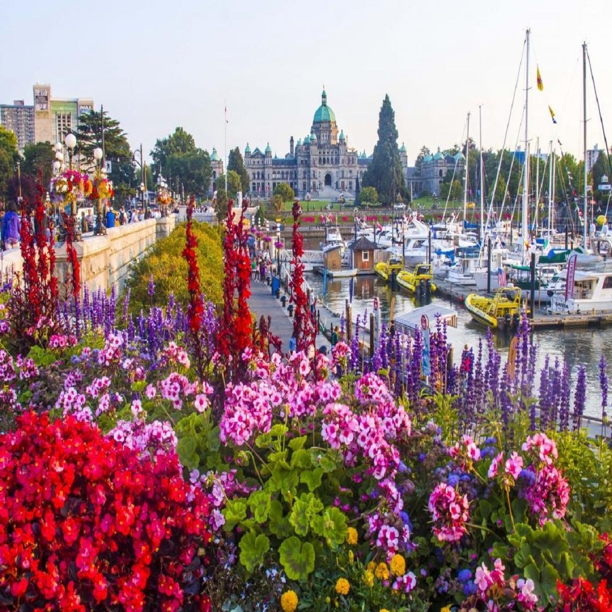 The Ultimate Victoria BC Itinerary: A Perfect Guide for Your Island ...